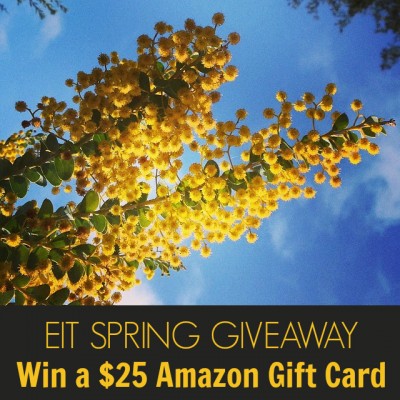 Enter to Win a $25 Amazon Gift Card | Ever In Transit