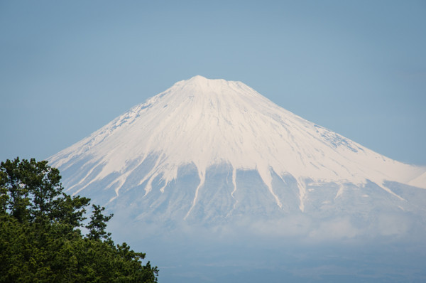 Strawberries, Shibas, Fuji-San, and the Nicest Highway Rest Stop in The ...