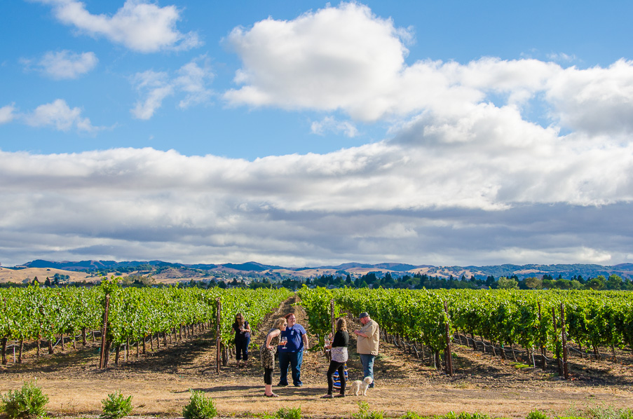 A Little Taste of Petaluma | Ever In Transit