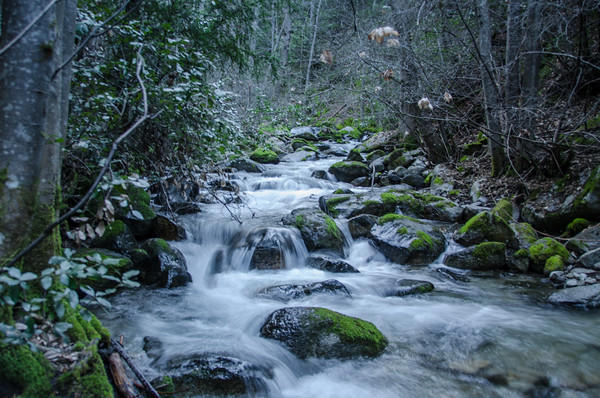 A Weekend Getaway For Nature Lovers: Redding, California | Ever In Transit